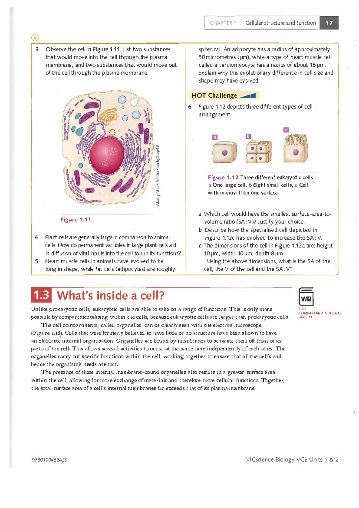 Unit 1 Biology VCE: Chapter 1 - Cellular Structure & Function Summary ...