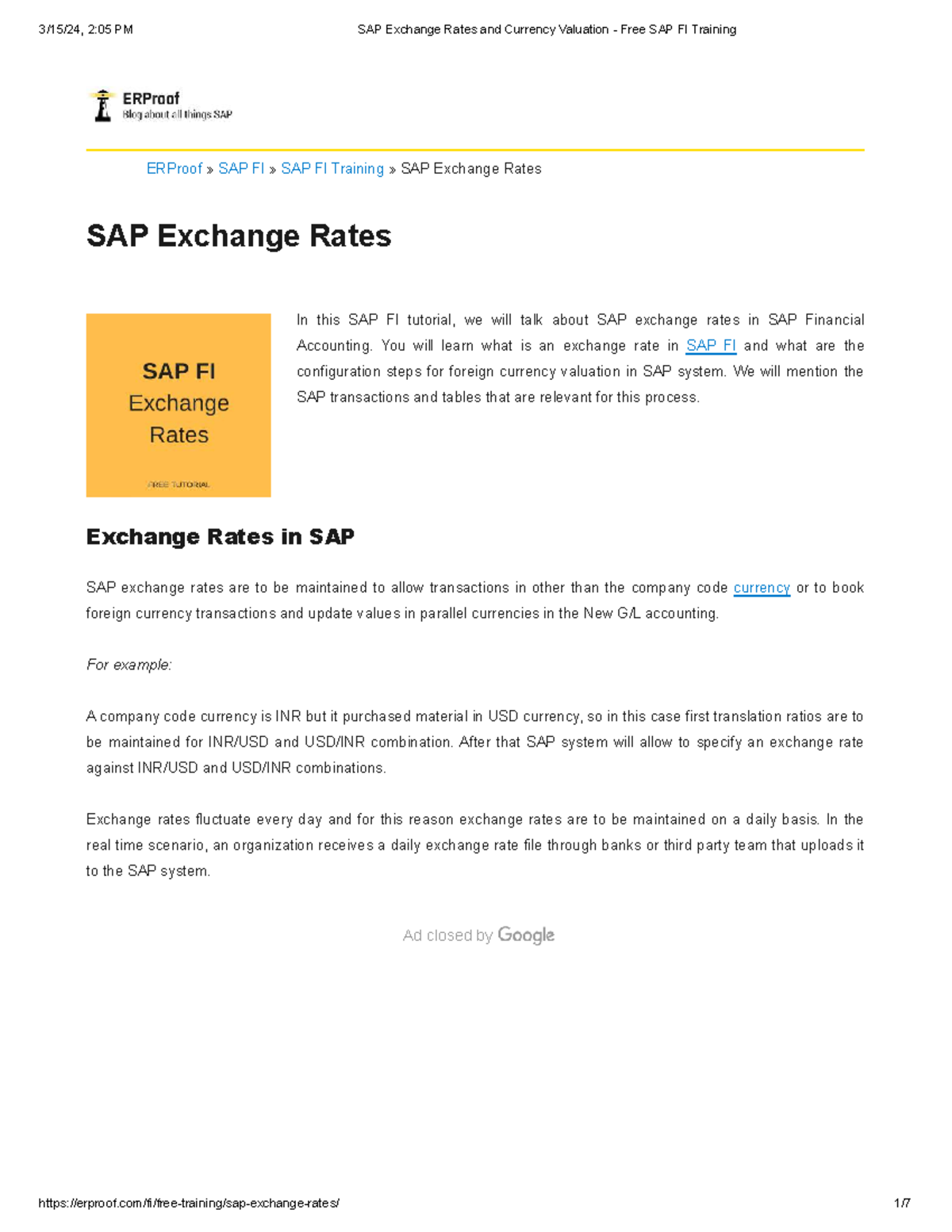 SAP FI Training: Exchange Rates & Currency Valuation Guide - Studocu