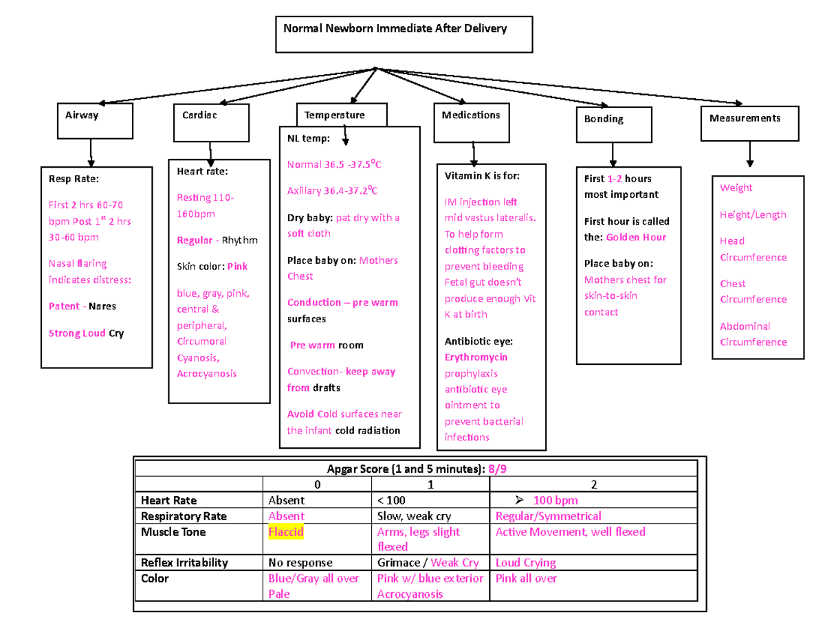 Normal Newborn Assessment: Immediate Care and Apgar Scoring - Studocu
