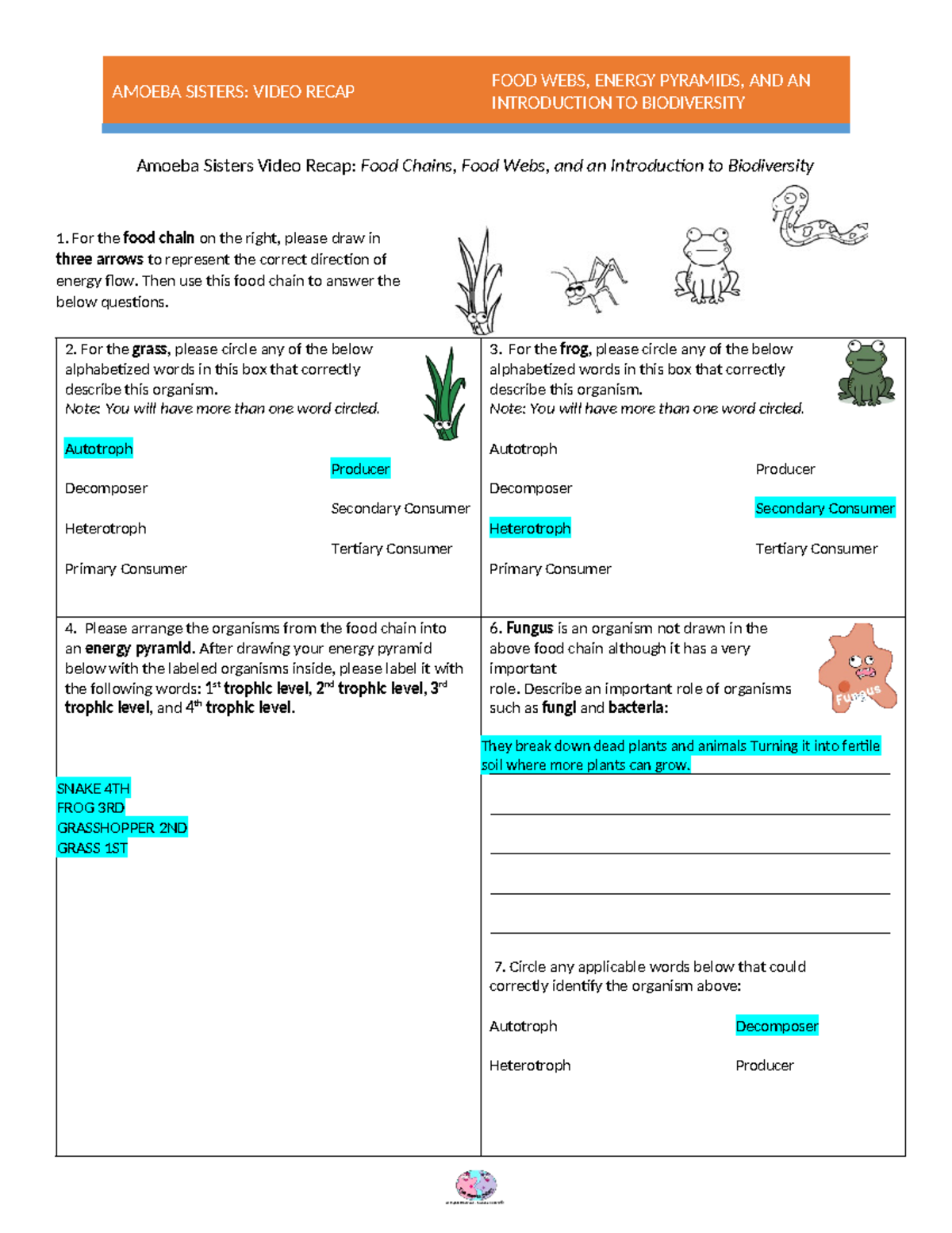 Food Webs and Energy Flow: Worksheet for Biology 101 - Studocu