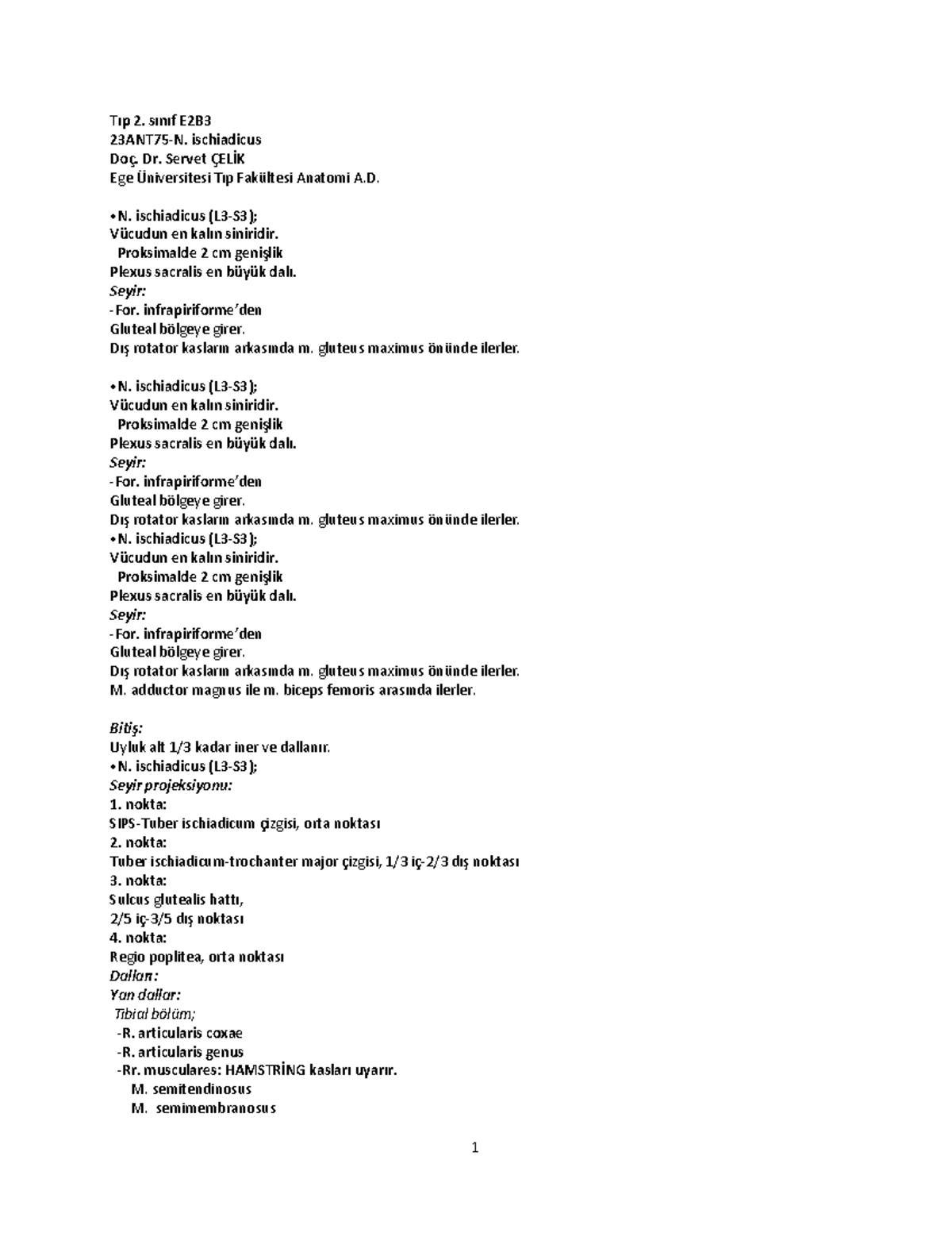 23ANT75 - N. Ischiadicus Anatomisi ve Klinik Önemi - Studocu