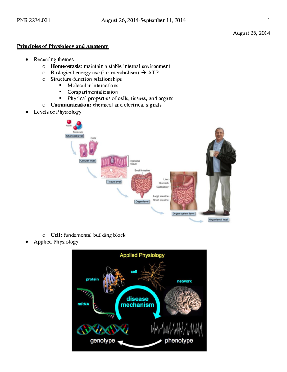 PNB 2274 Lecture Notes: Principles of Physiology and Anatomy Overview ...
