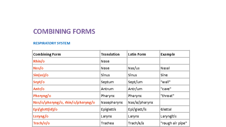 Chapter 6 - Respiratory System: Plurals & Diminutive Endings - Studocu