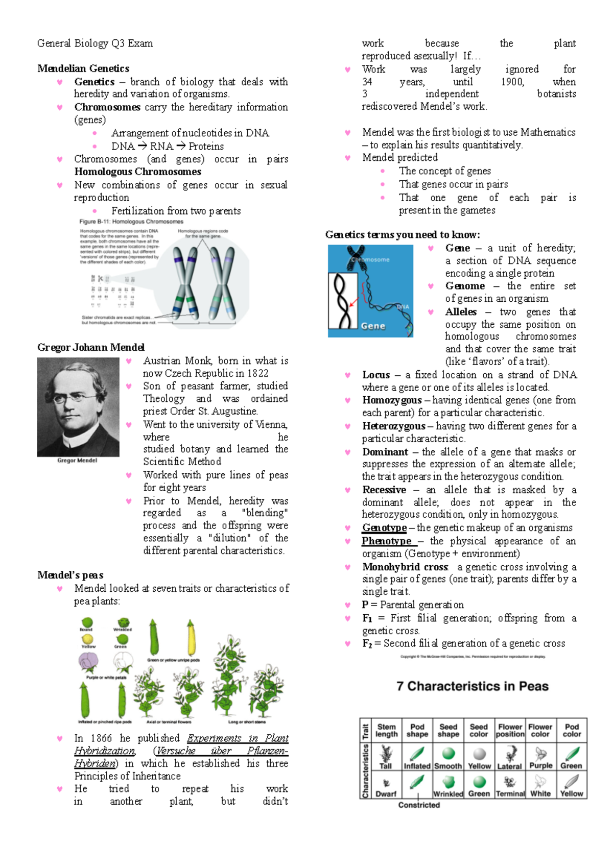 General Biology Q3 Exam 3 - General Biology Q3 Exam Mendelian Genetics ...