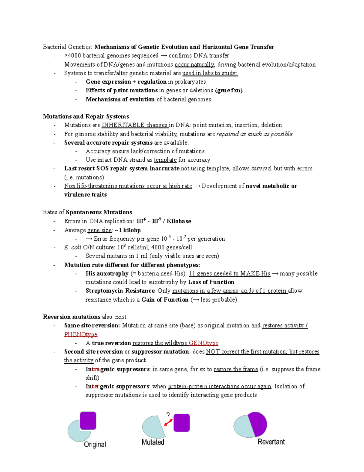 MNI 3400 Lecture 14 - Bacterial Genetics and Gene Transfer Mechanisms ...