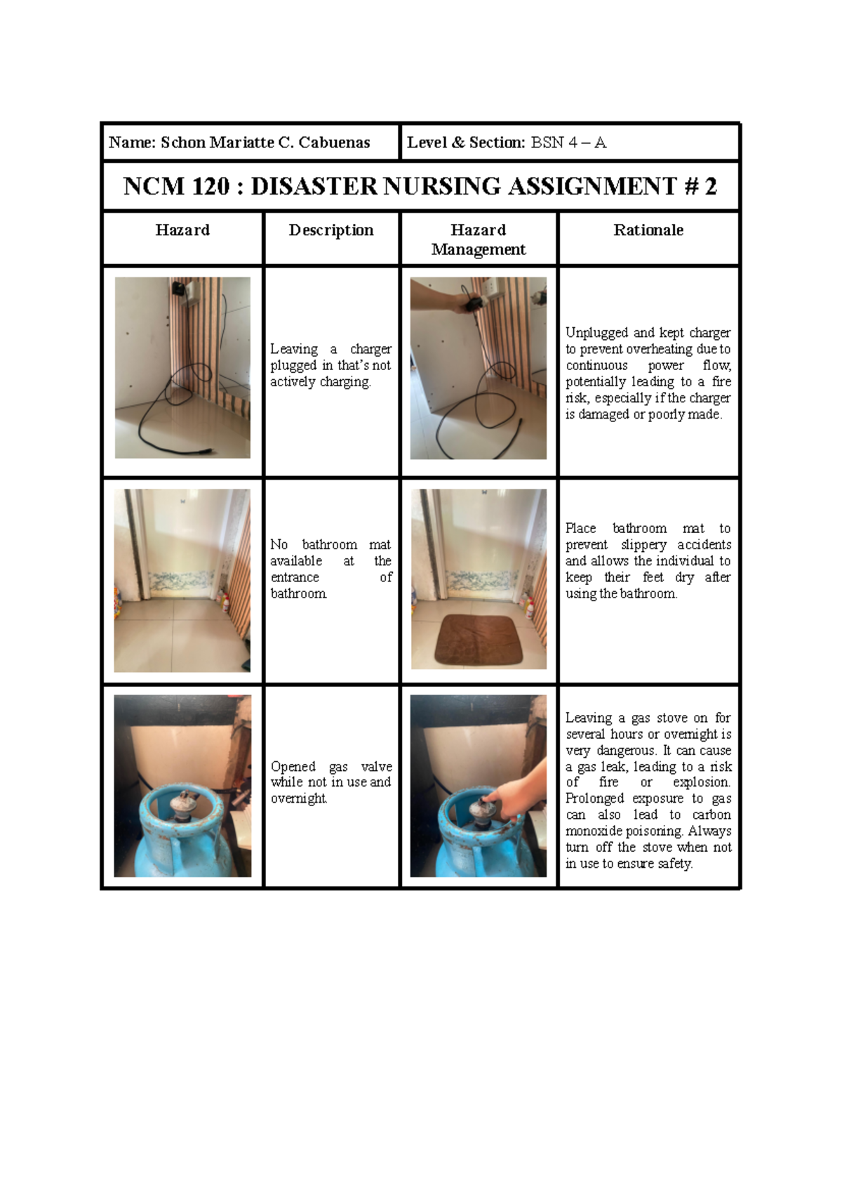 NCM 120: Disaster Nursing Hazard Management Assignment #2 Insights ...
