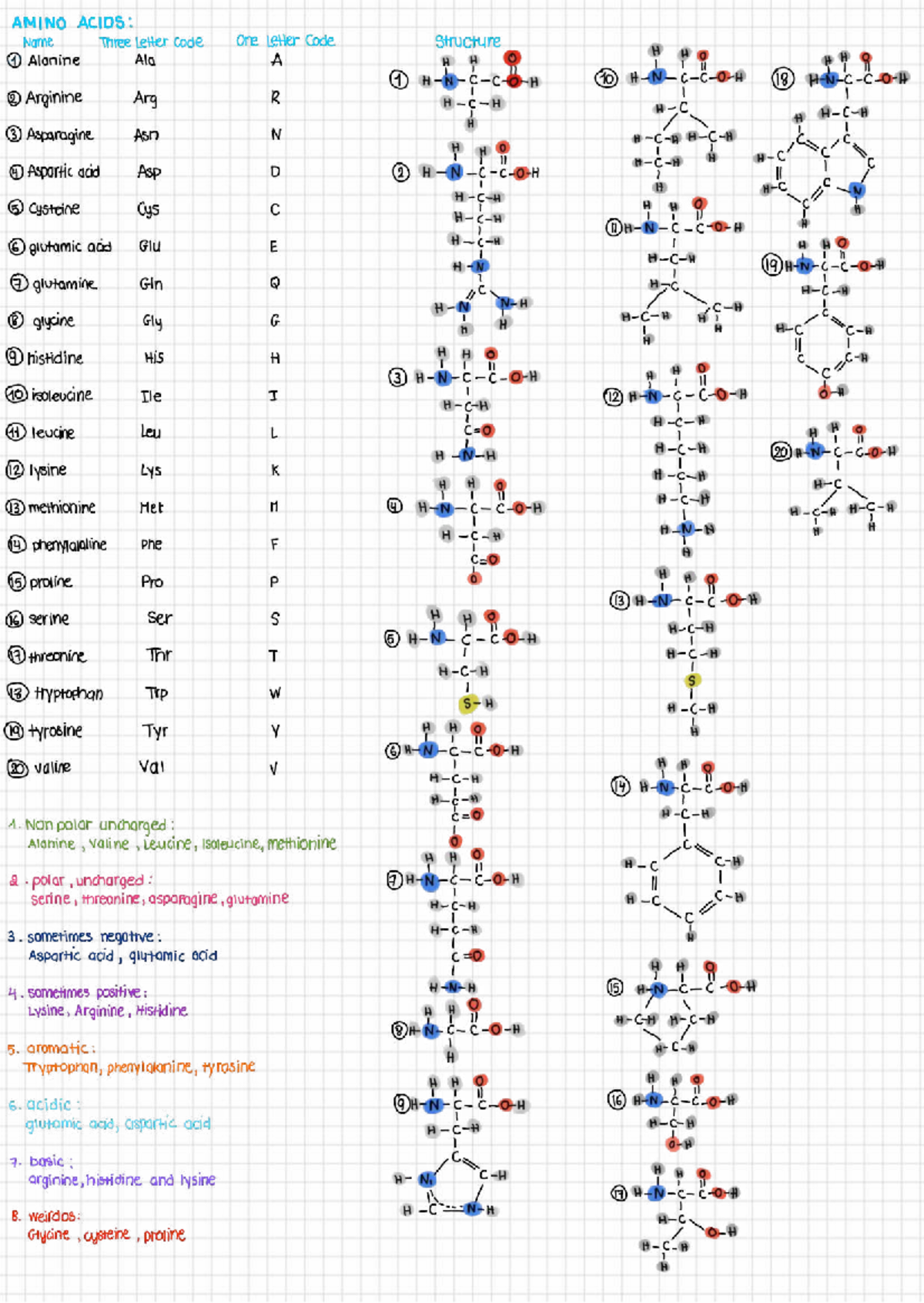 Amino Acids Overview: Codes, Structures, and Classifications - Studocu