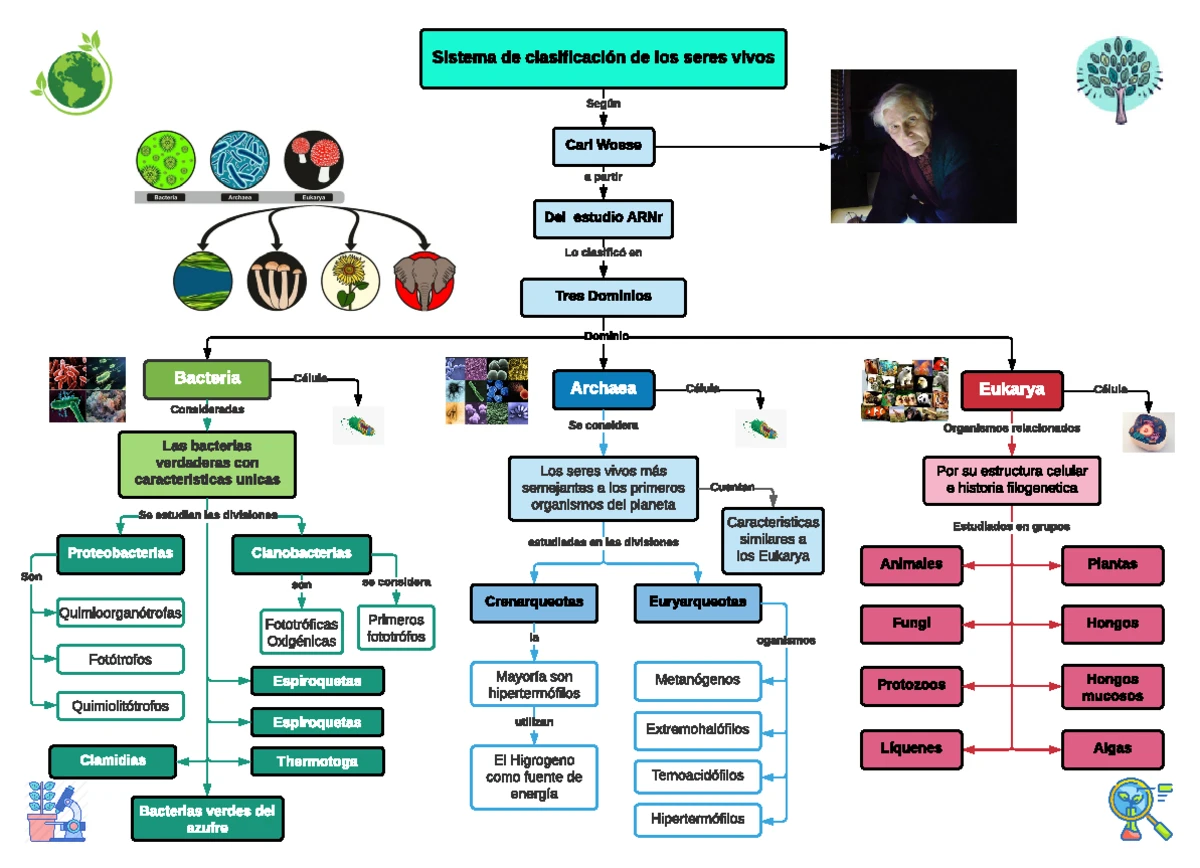2 - Practica - Bioquimica - Curso: BIOLOGÍA Semana: 2 Tema ORGANIZACIÓN ...
