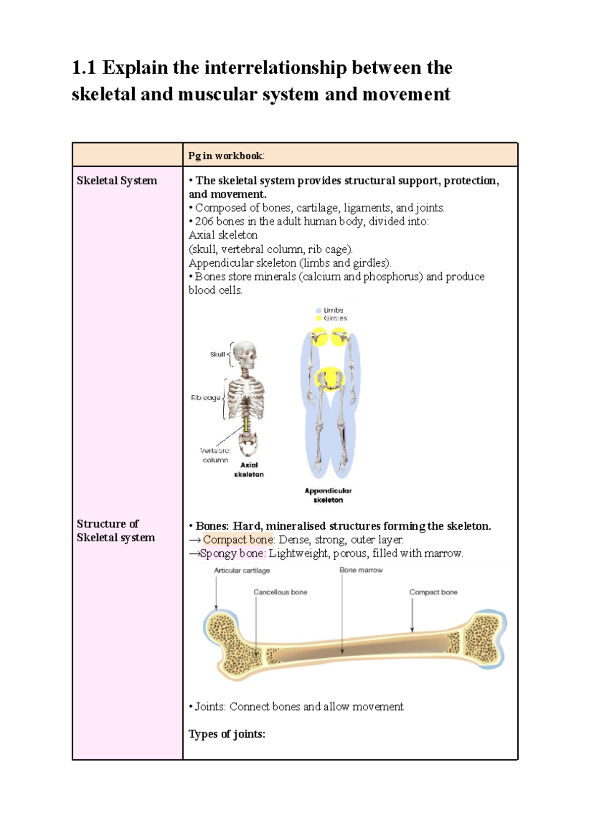 1.1 Interrelationship of Skeletal & Muscular Systems in Movement - Studocu