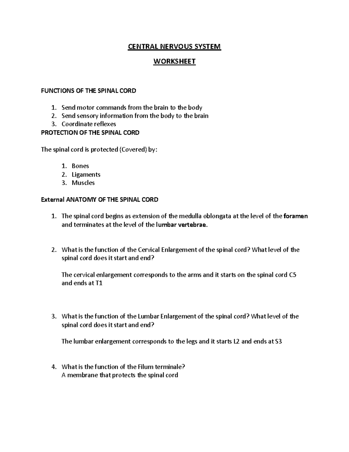 CNS 101: Spinal Cord Functions and Anatomy Worksheet - Studocu
