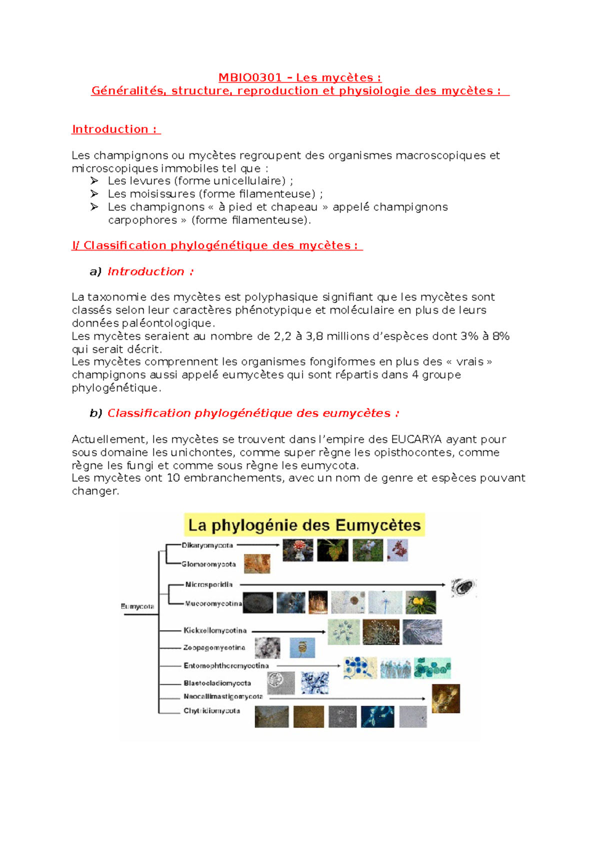 MBIO0301 - Étude des Mycètes : Classification, Reproduction et ...