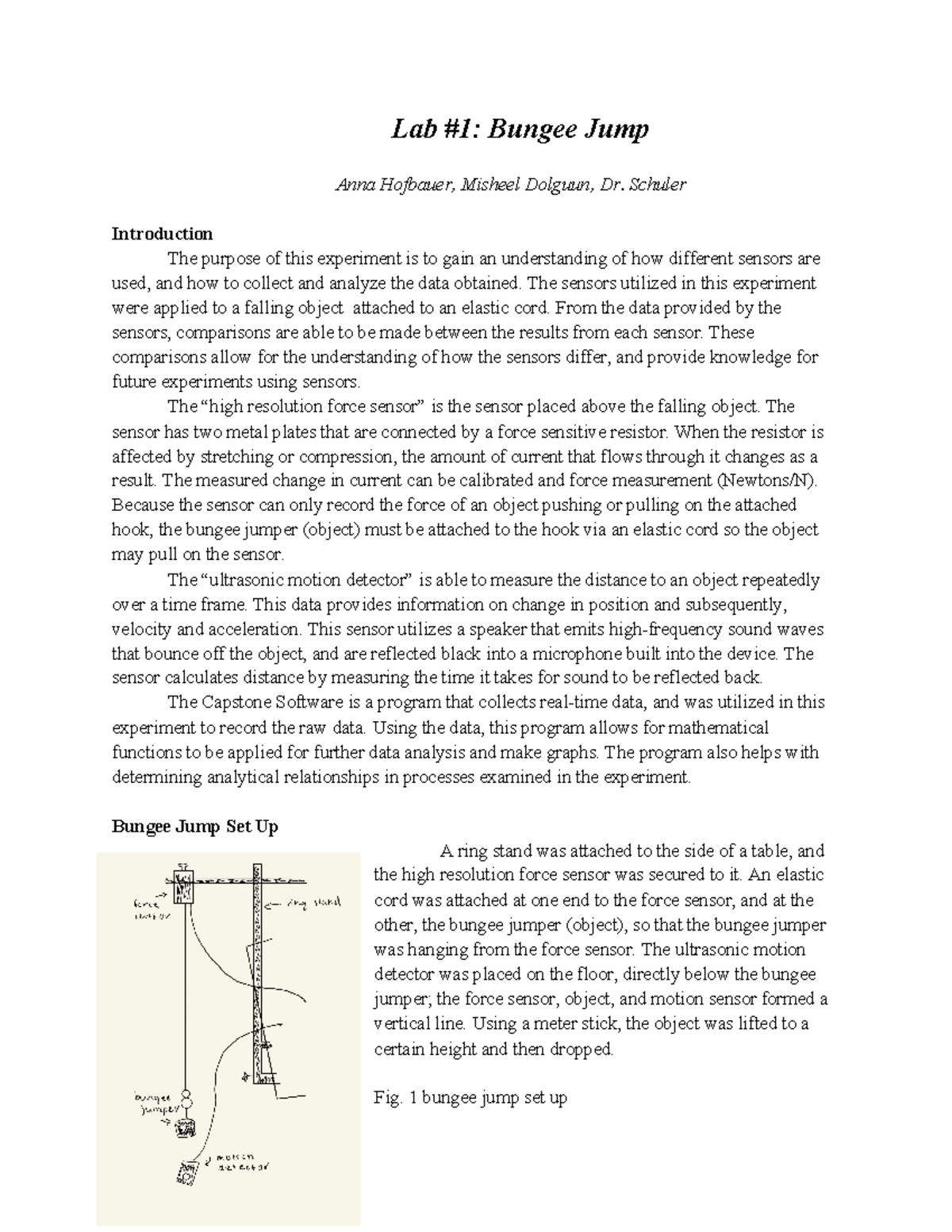 Physics lab report 1 - Understanding sensors - bungee jump lab - Lab #1 ...