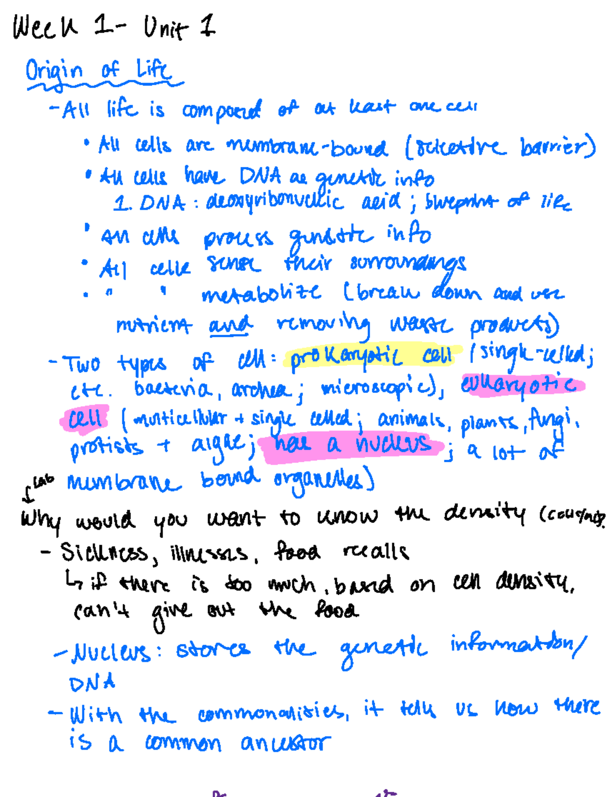 Biological Molecules: Structure, Function & Overview (BIO101 Week 1 ...