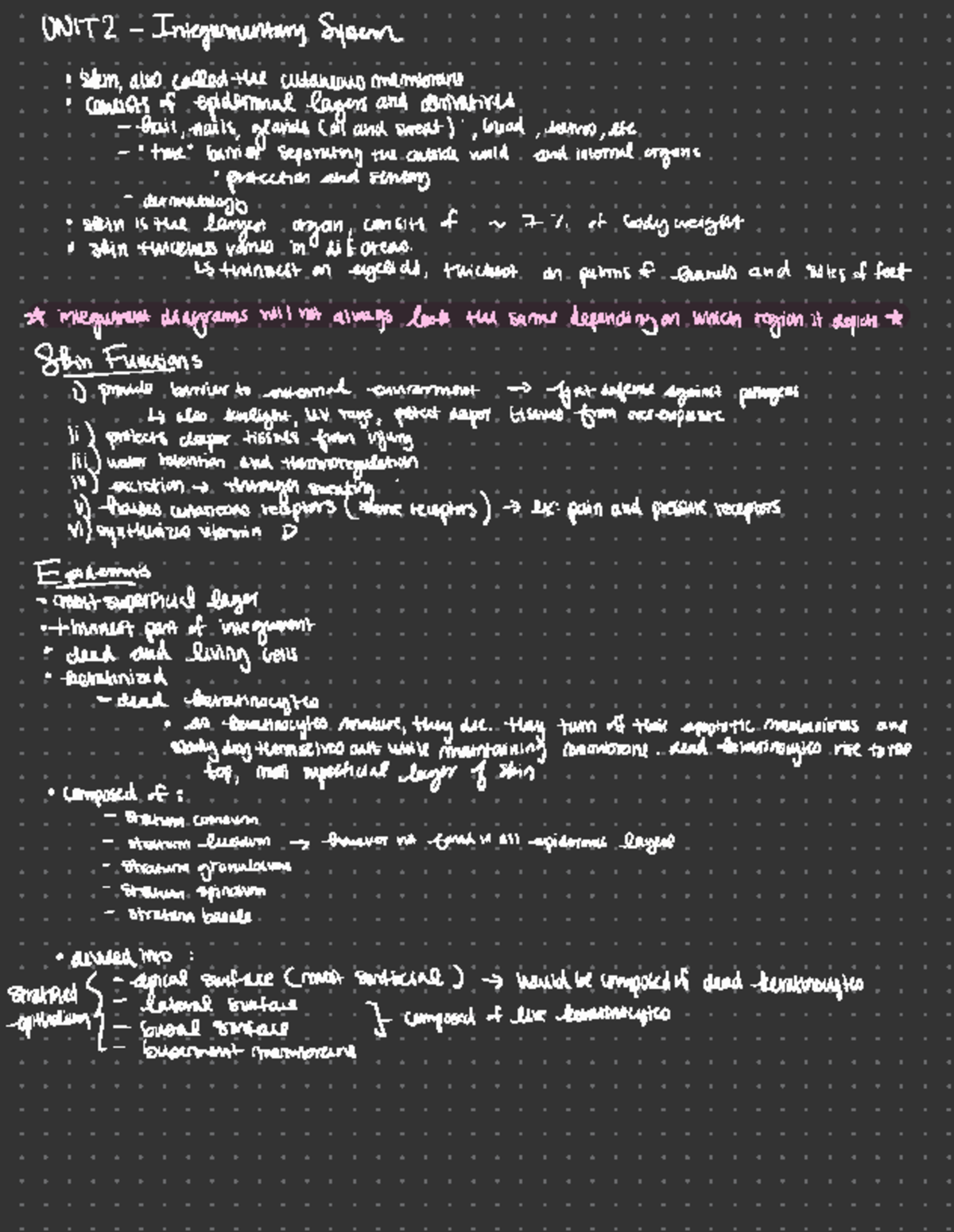 Unit 2: Integumentary System Overview and Functions - Studocu
