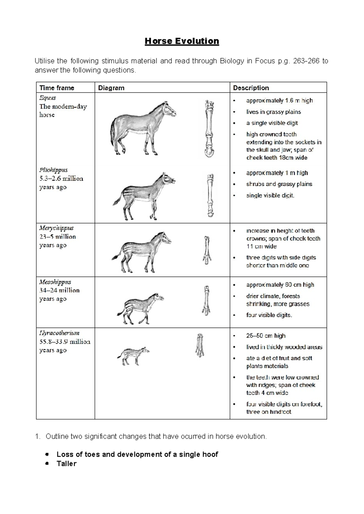 Horse Evolution: Key Changes and Adaptations in Equine History - Studocu