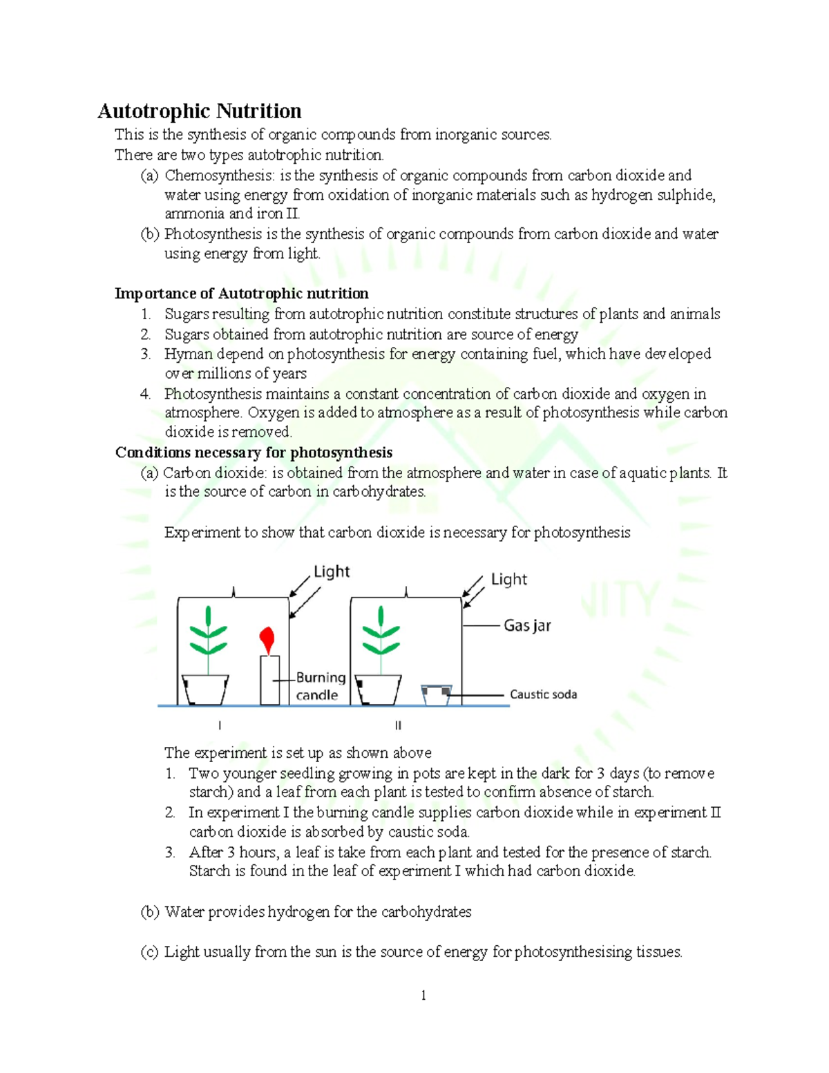 Photosynthesis in C3 and C4 Plants: Mechanisms and Comparisons - Studocu