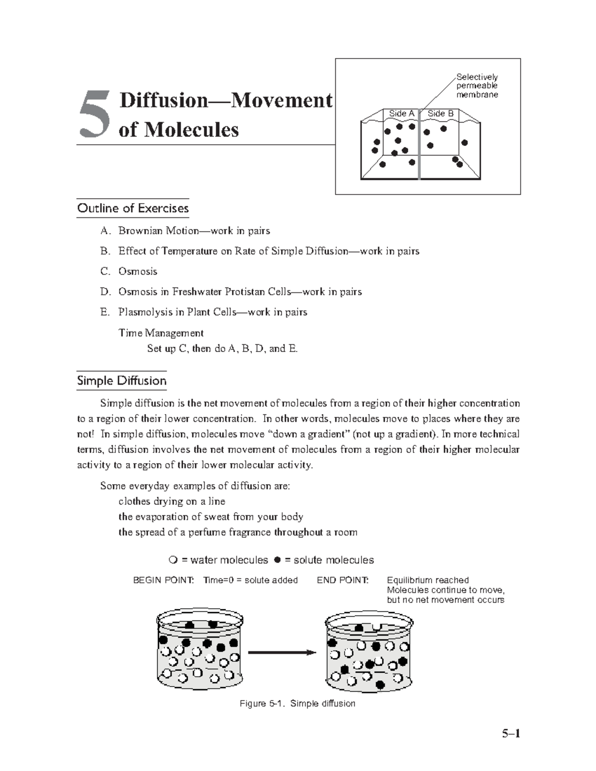 Biology Lab 5: Experiments on Diffusion & Osmosis (Course Code: 1021 ...
