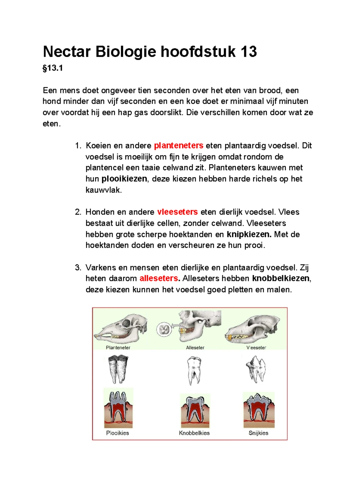 Biologie H6 - Samenvatting: Ecologie, Voedselketens & Biodiversiteit - Studeersnel