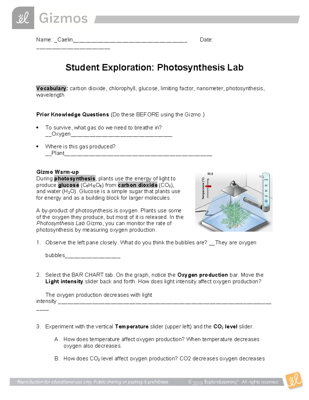Photosynthesis Lab SE - Summary biology - Name: Caelin