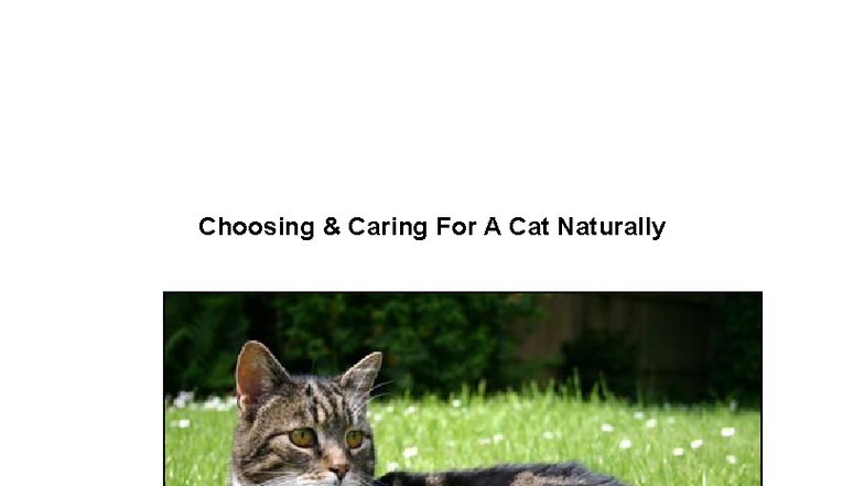 How To Choose and Care For A Cat - Choosing & Caring For A Cat ...