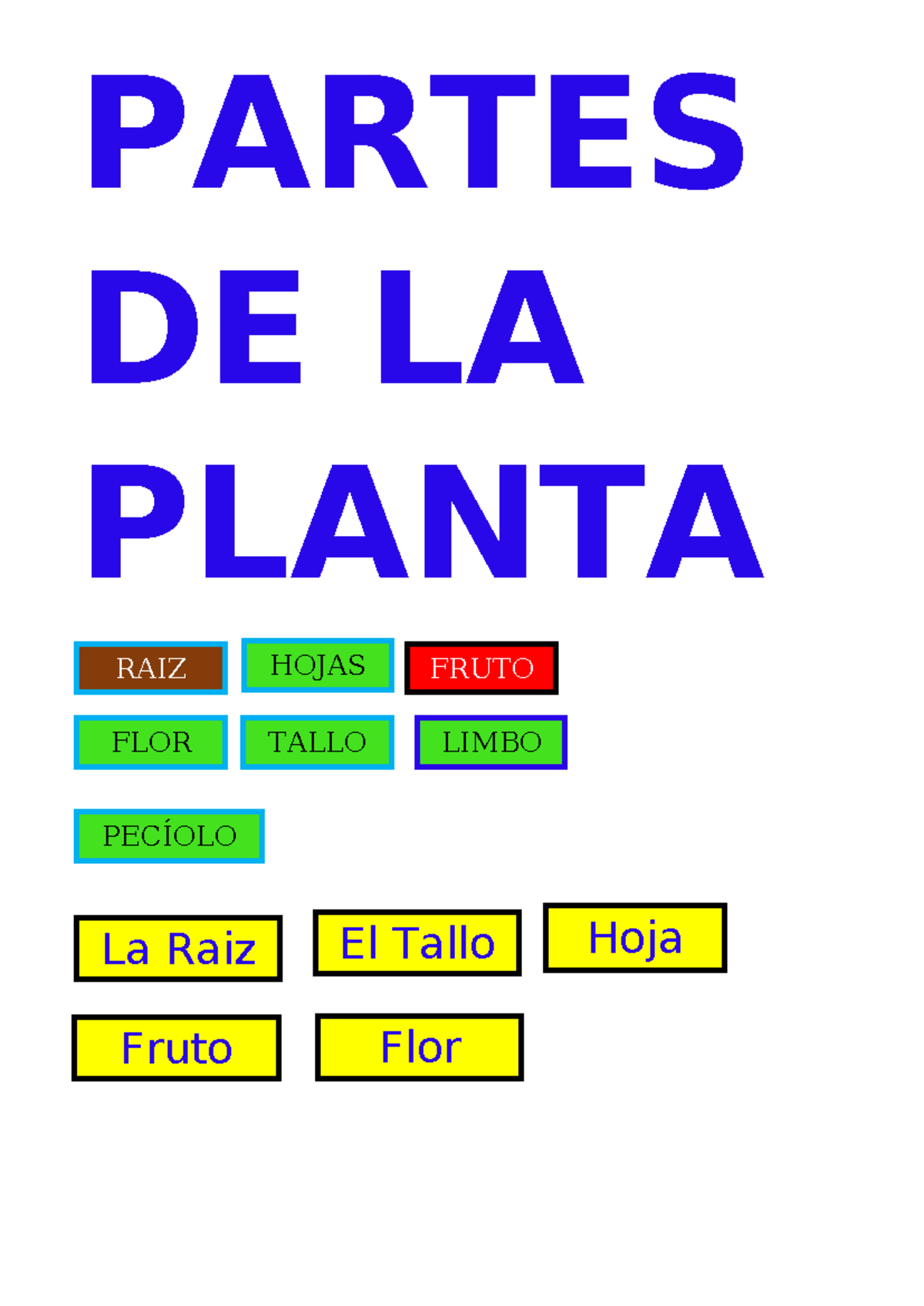 Partes DE LA Planta - Universidad San Pedro - PARTES DE LA PLANTA RAIZ ...