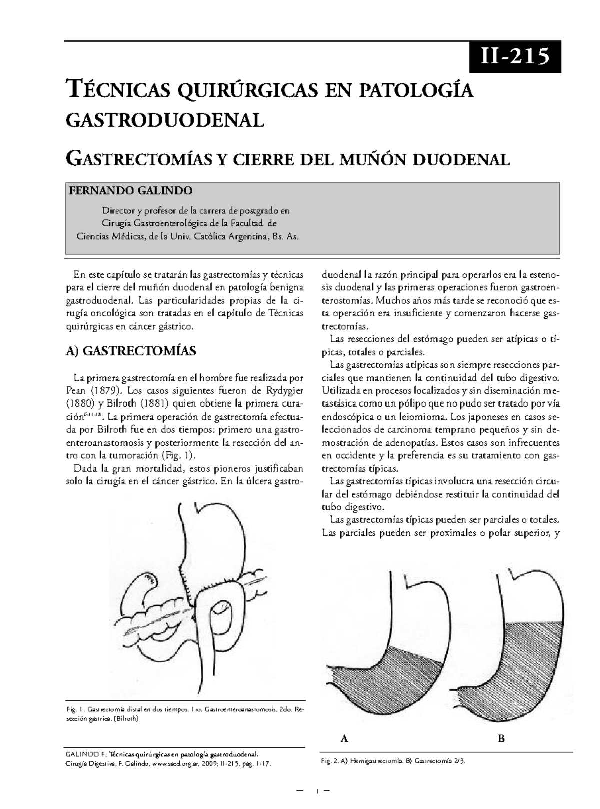 Técnicas Quirúrgicas en Gastrectomías: Estudio Detallado (CIR. GAST ...