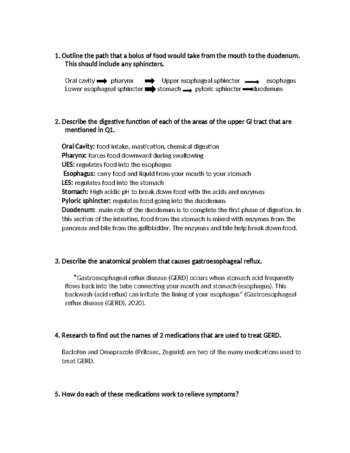 A&p week 1 case study - Outline the path that a bolus of food would ...