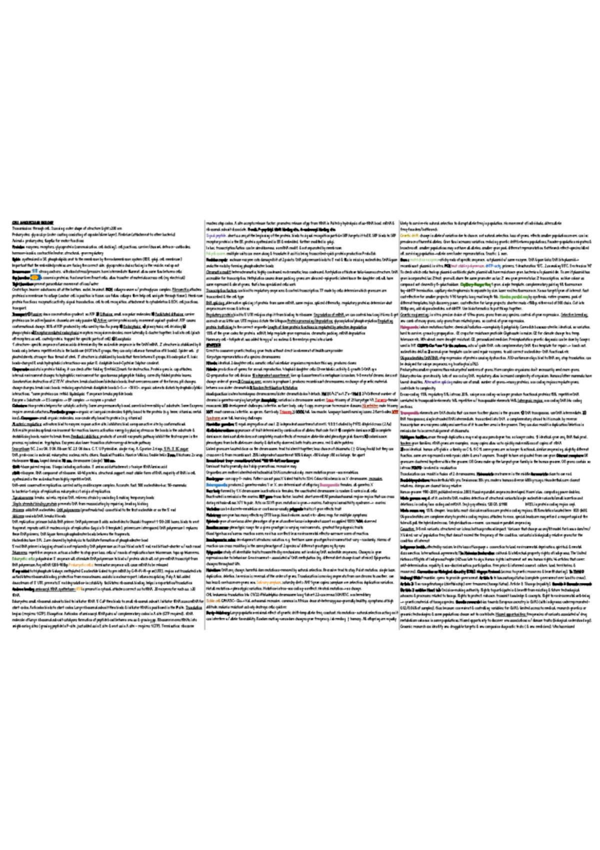 AU Biology Cheat Sheet: Mechanisms of Genetic Regulation and Protein ...