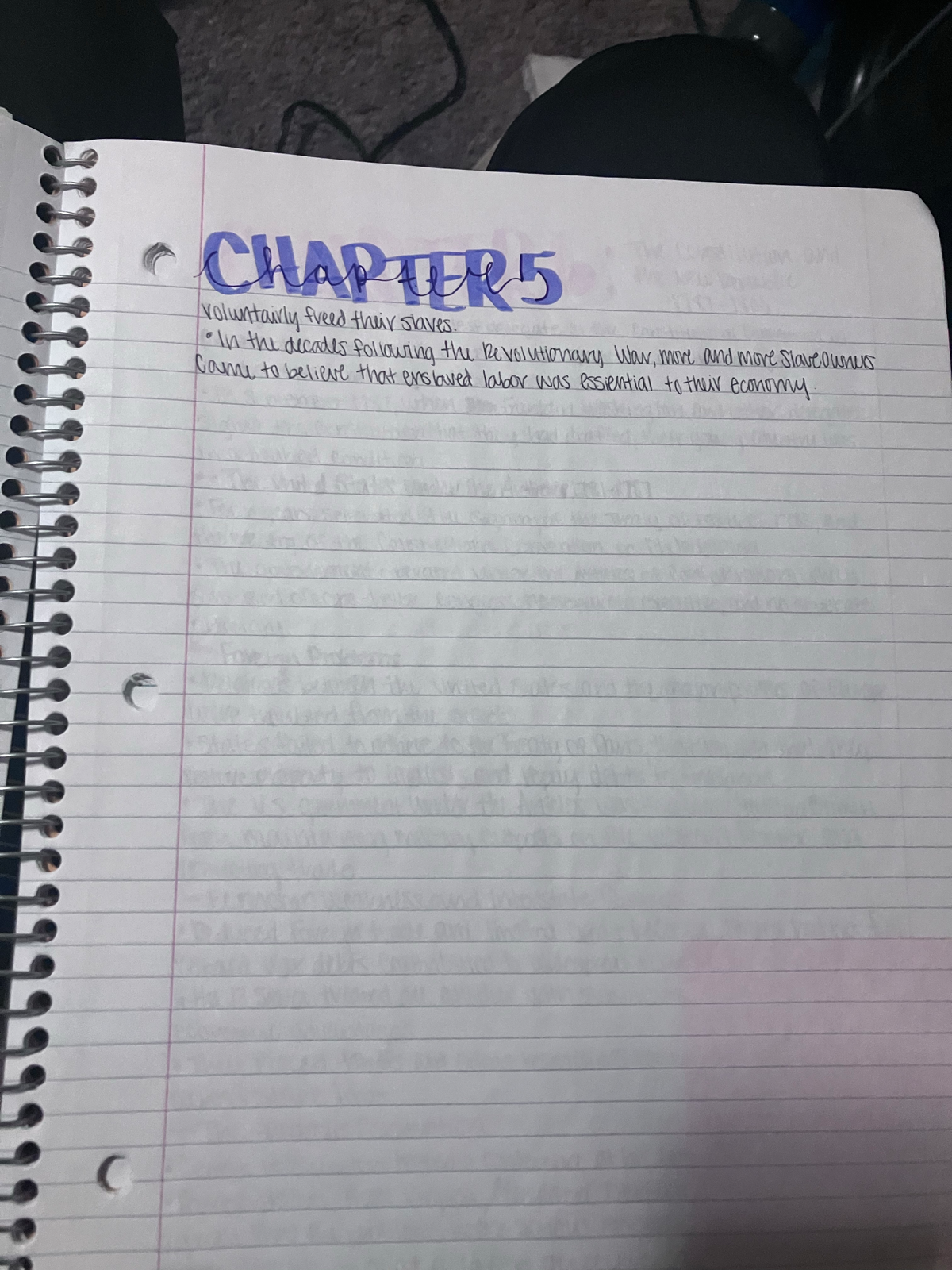 IMG 5138 - Notes over unit 5 - CHAPTER5 voluntairly freed their slaves ...