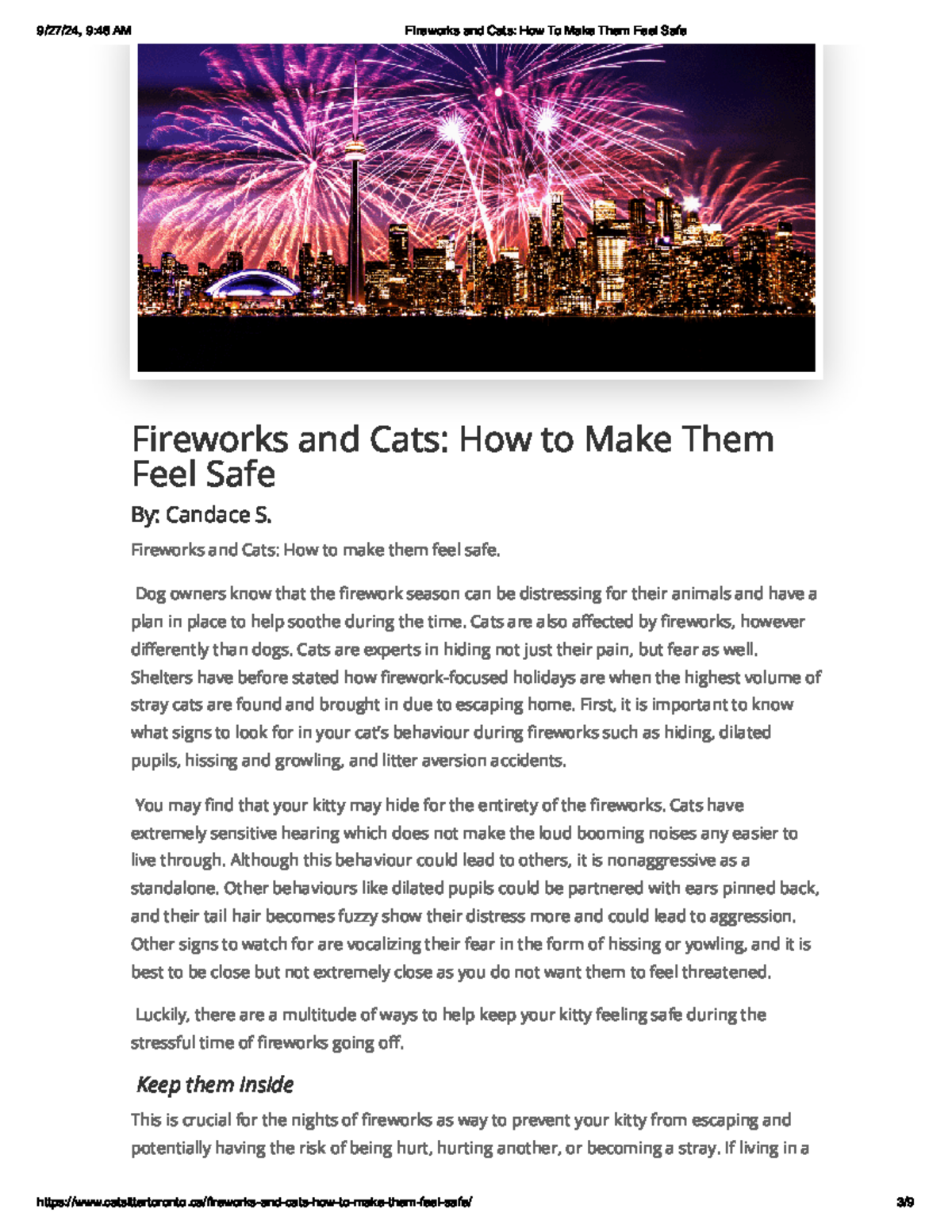 Fireworks and Cats How To Make Them Feel Safe - - Studocu