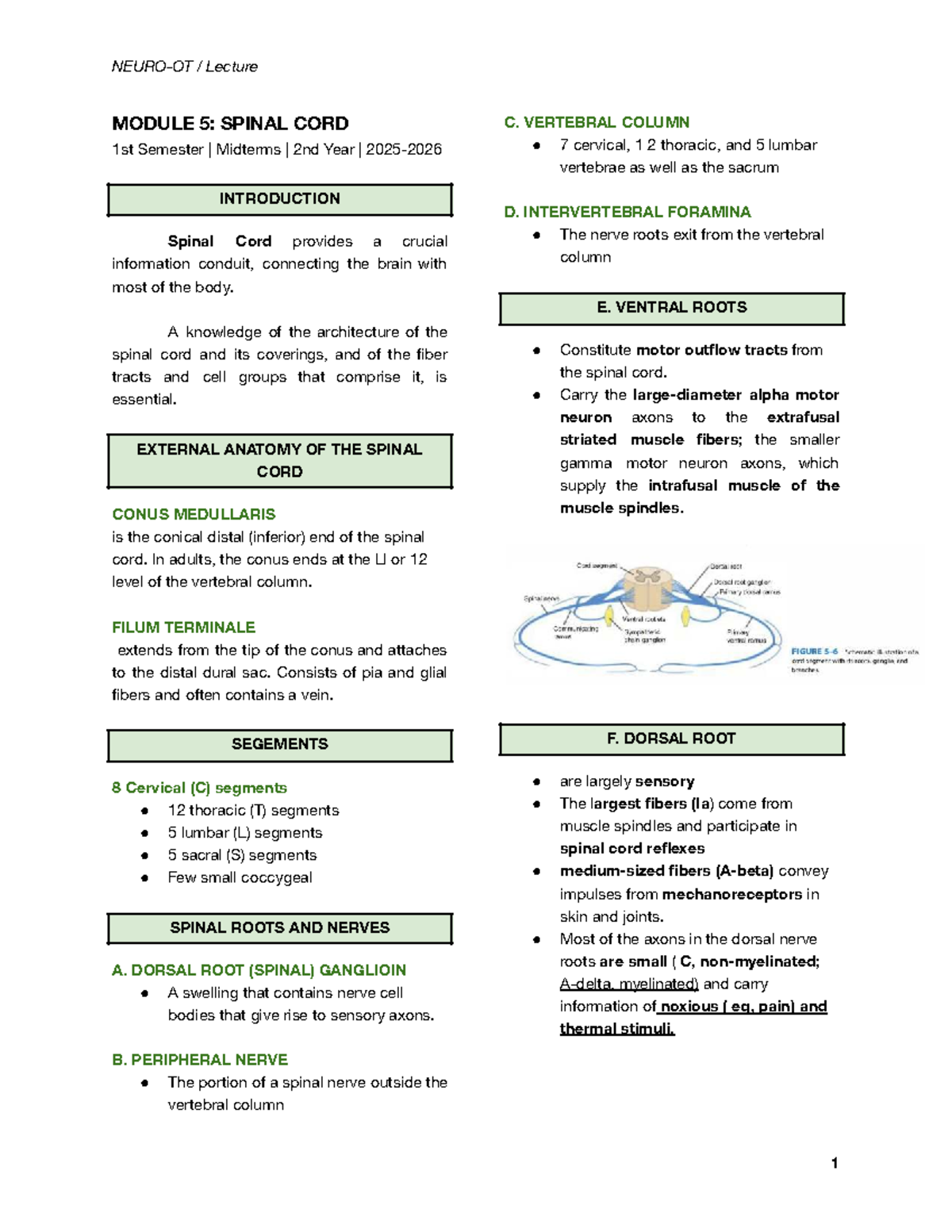 NEURO-OT Module 5: Spinal Cord Overview | 1st Sem Midterms 2025-2026 ...