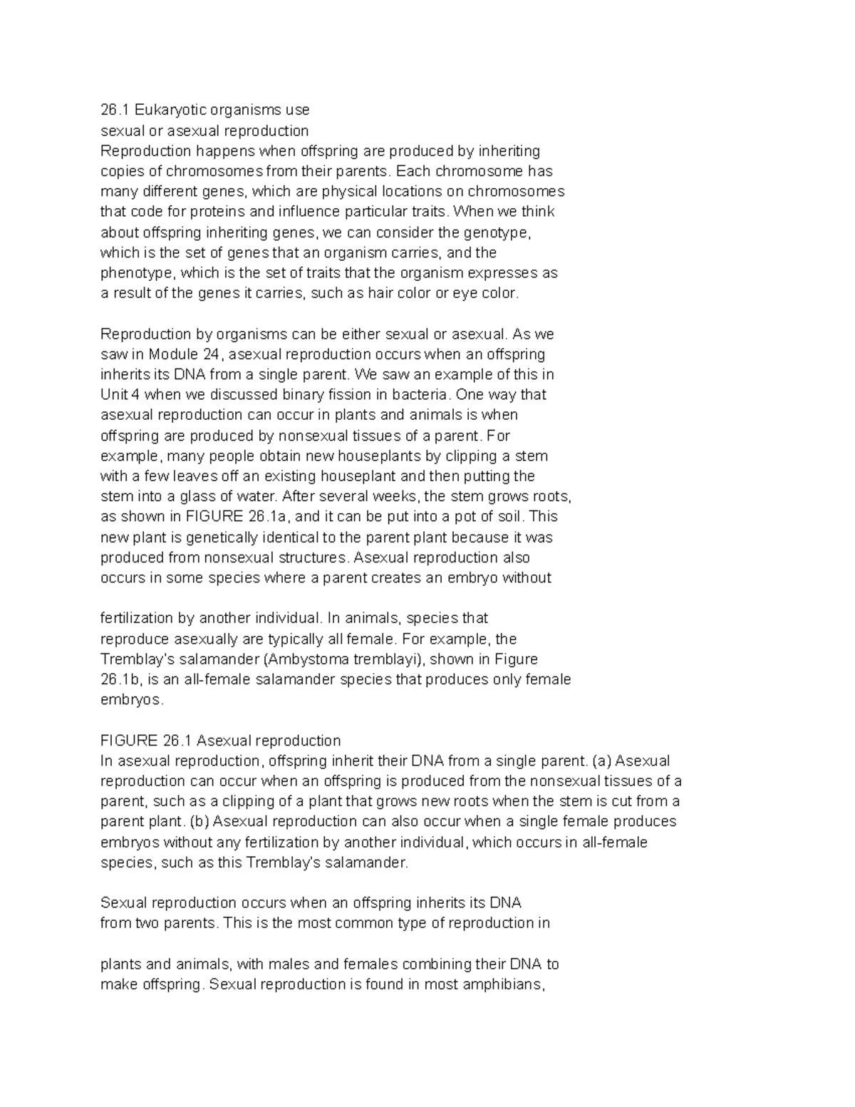 Meiosis: Processes, Stages, and Genetic Variation in Gametes - 26 ...
