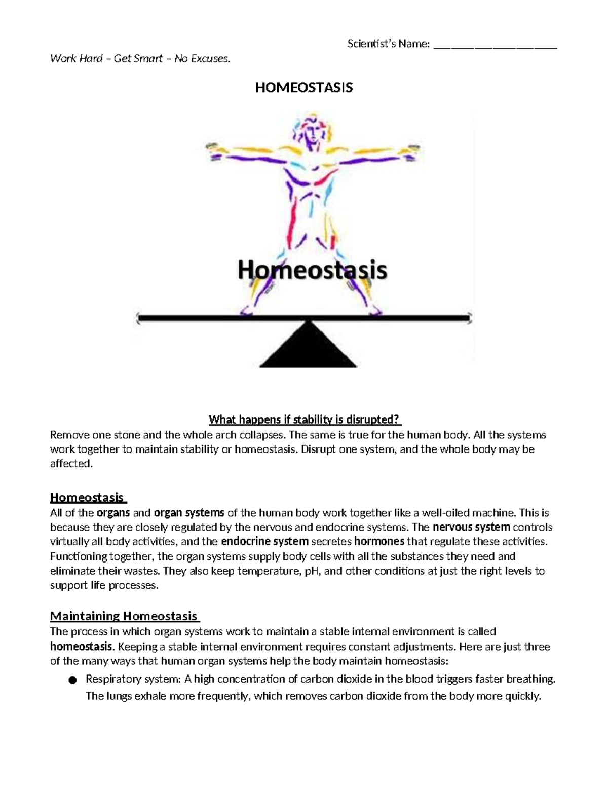 Homeostasis Reading Comprehension: Understanding Stability in the Body ...