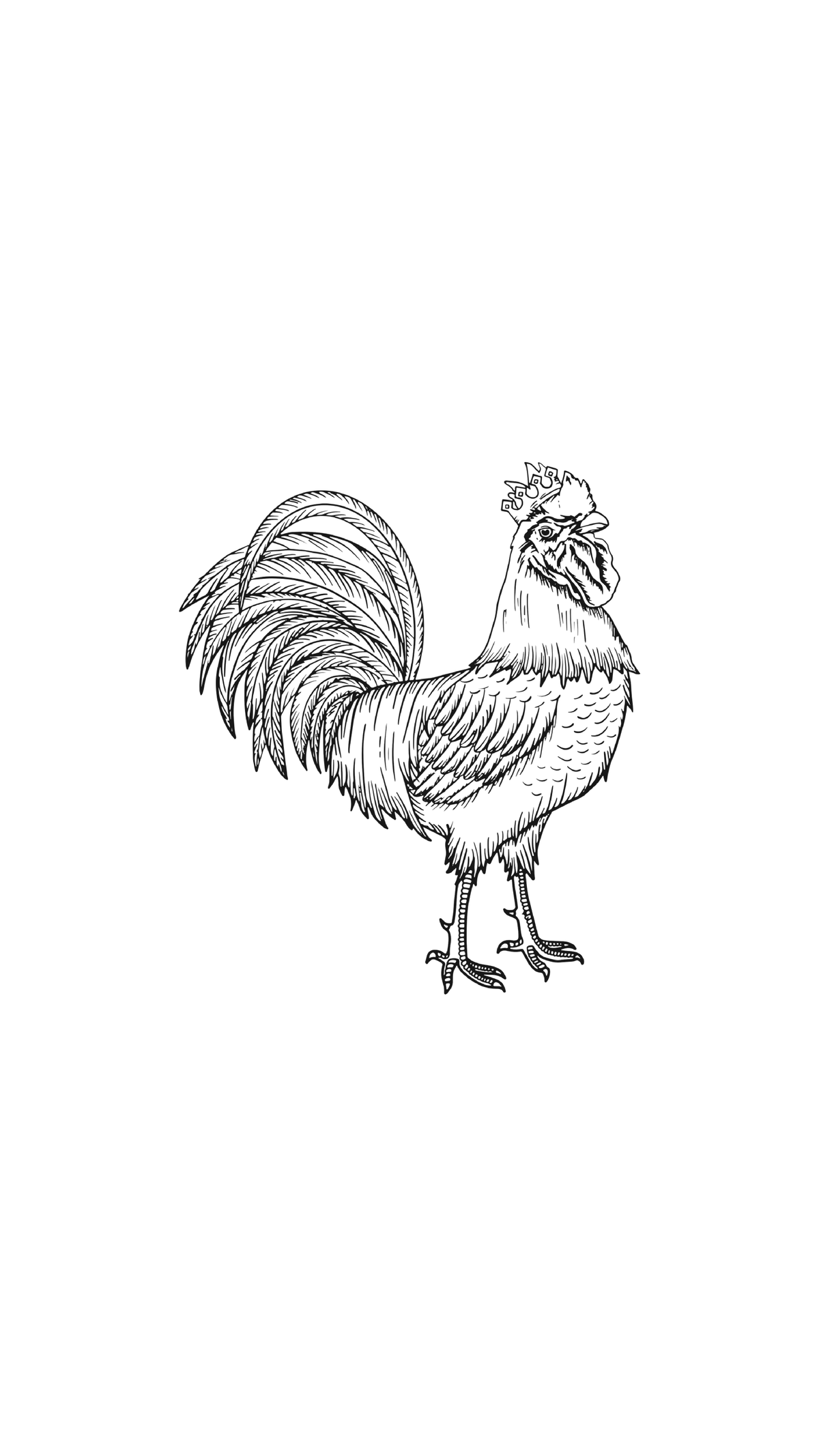 -Menú El Rey Gallo— - Ejemplo menu - Esquite de puesto - Literal como ...