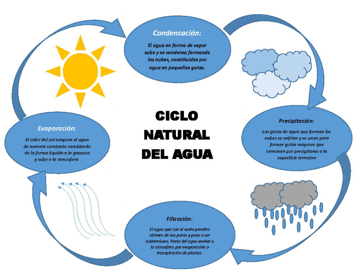 Ciclo Del Agua Transpiración Ciclo Del Agua: Definición,