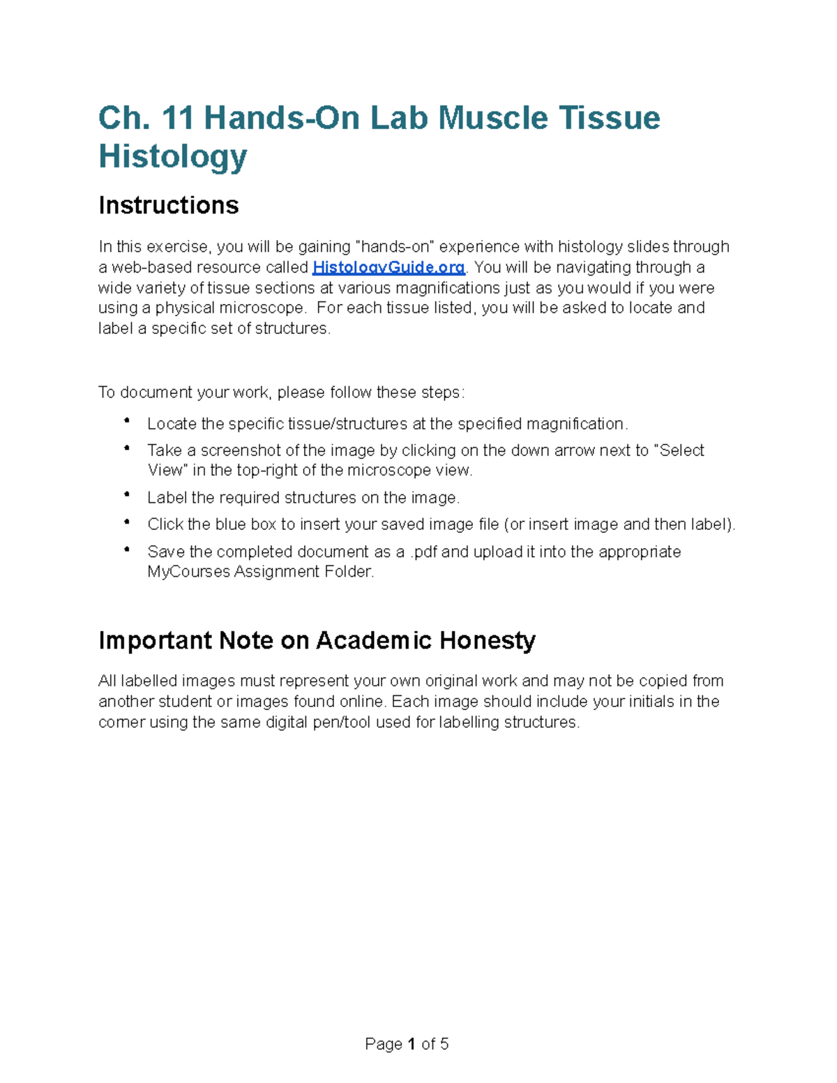 Ch 11 Hands-On Lab: Muscle Tissue Histology Guide and Instructions ...