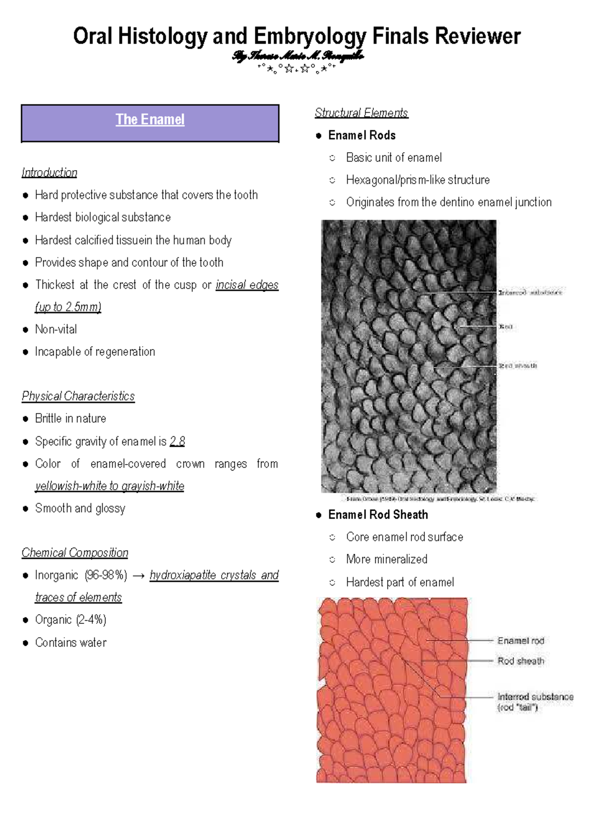 Oral Histology and Embryology Finals Review (OHE 101) - Studocu