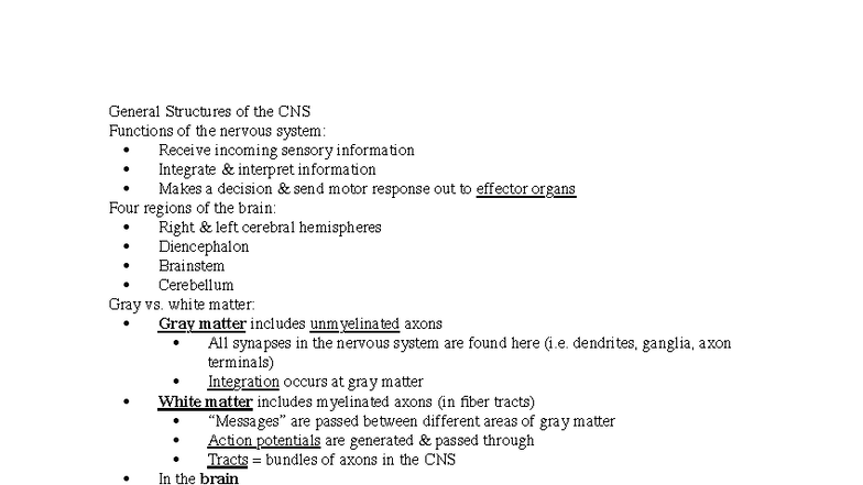 BIOL 251 - Chapter 12 Study Guide: Central Nervous System Overview ...
