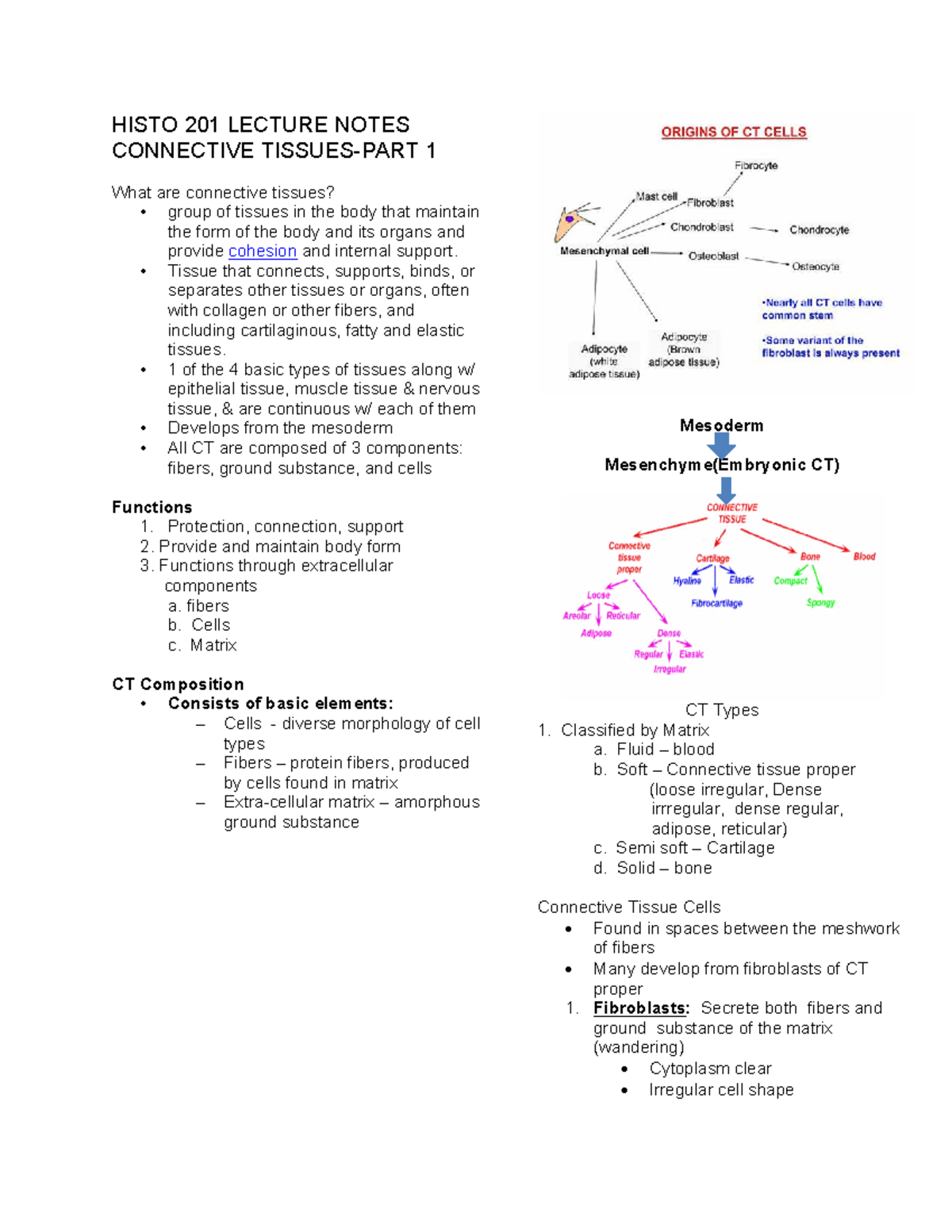 HISTO 201 LECTURE NOTES: CONNECTIVE TISSUES PART 1 - Studocu