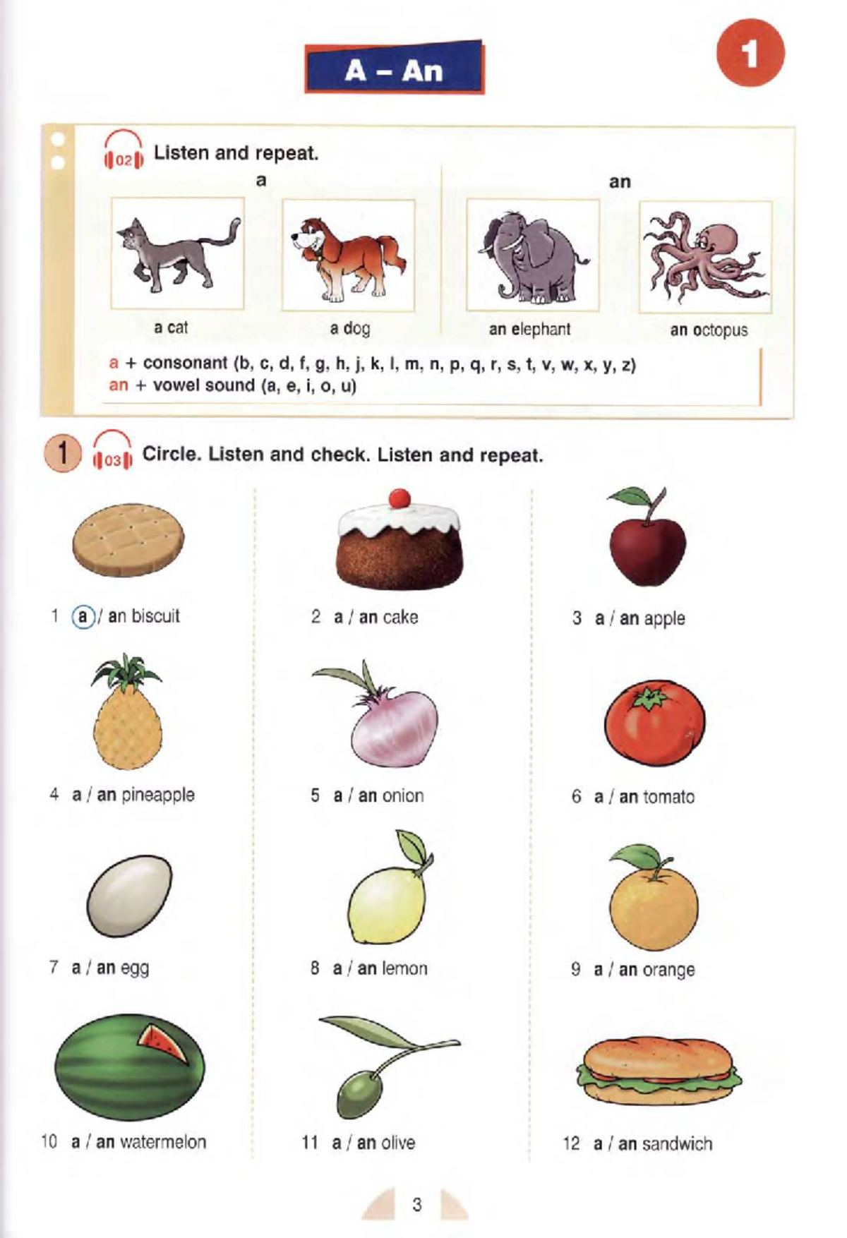A-An-Plural Nouns Exercises - A1 English Course - Studocu