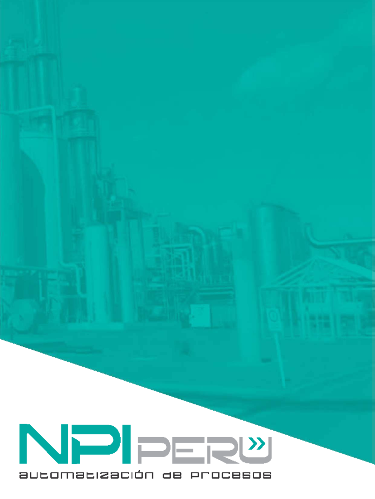 Brochure NPI PERU 2024: Guía para Completar Documentos Correctamente ...