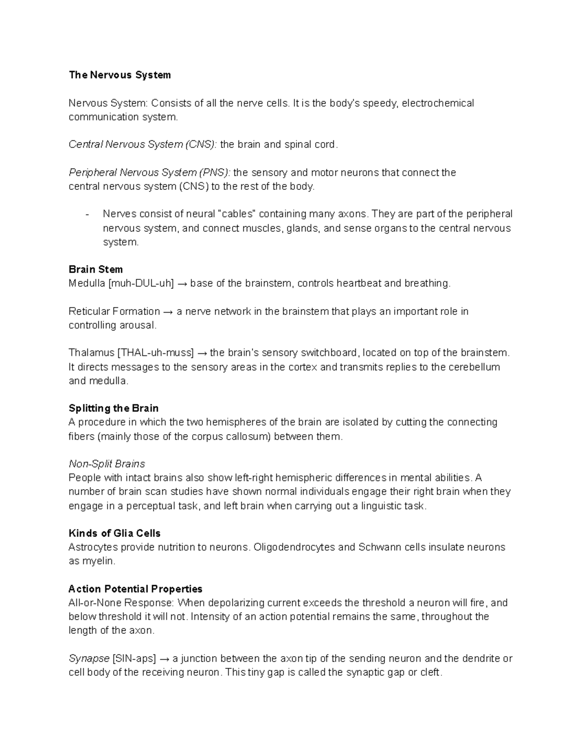 Intro Psych Exam 1 Study Guide - Ch 2 - The Nervous System Nervous ...