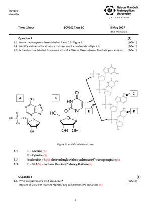 [Solved] Explain why the absorbance at 260 nm and 280 nm and 230 nm are - Introduction to ...