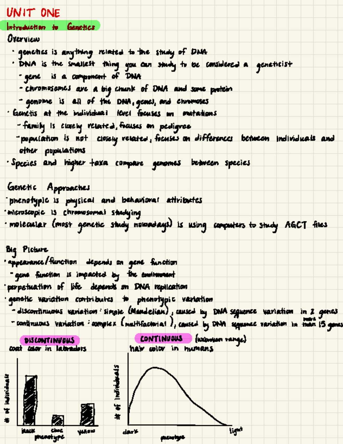 Genetics Unit 1 Overview and Key Concepts (BIOL 3303) - Studocu