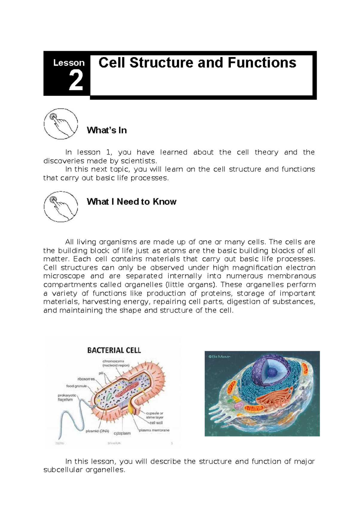 Gen Bio LO2 CELL - lesson 101 - Lesson 2 Cell Structure and Functions What’s In In lesson 1, you ...