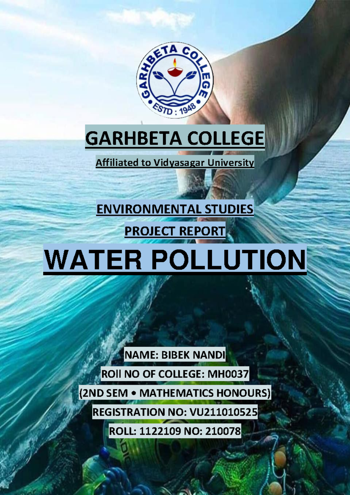 Water Pollution Project Report - Environmental Studies (2nd Sem) - Studocu