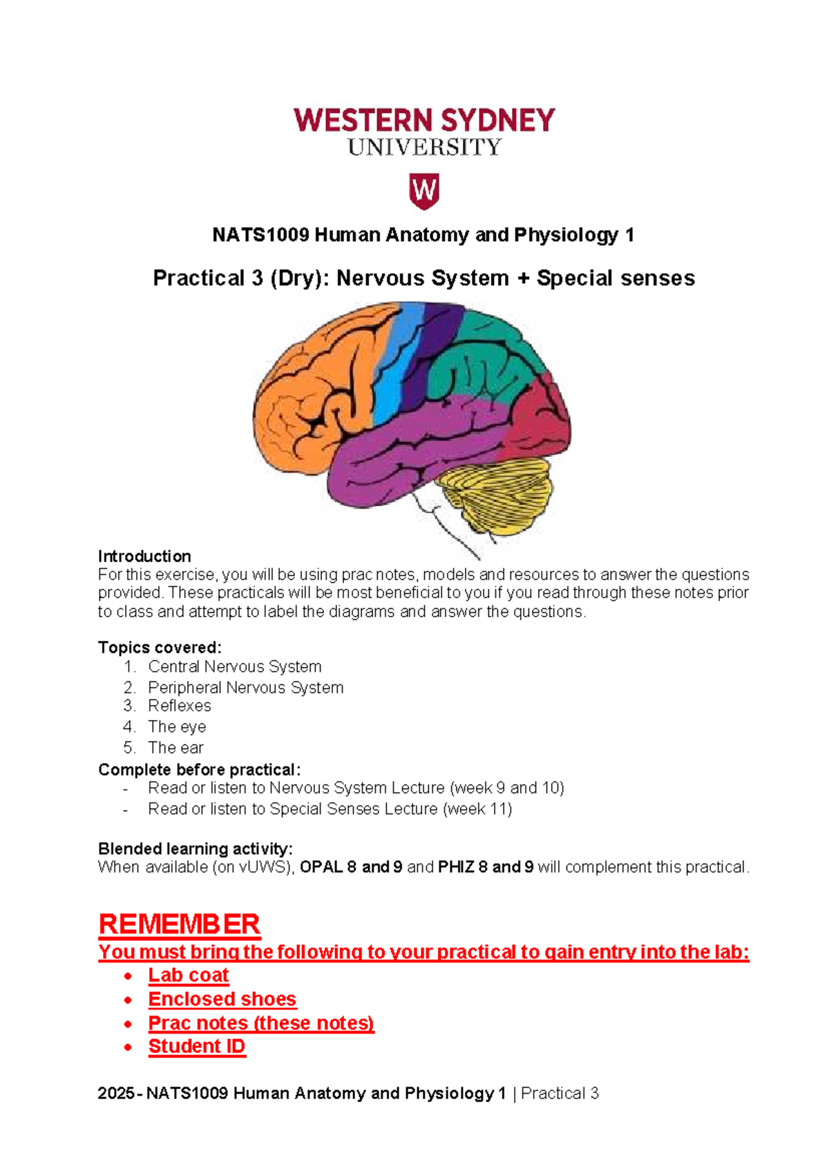 NATS1009 Human Anatomy & Physiology 1: Practical 3 - Nervous System ...