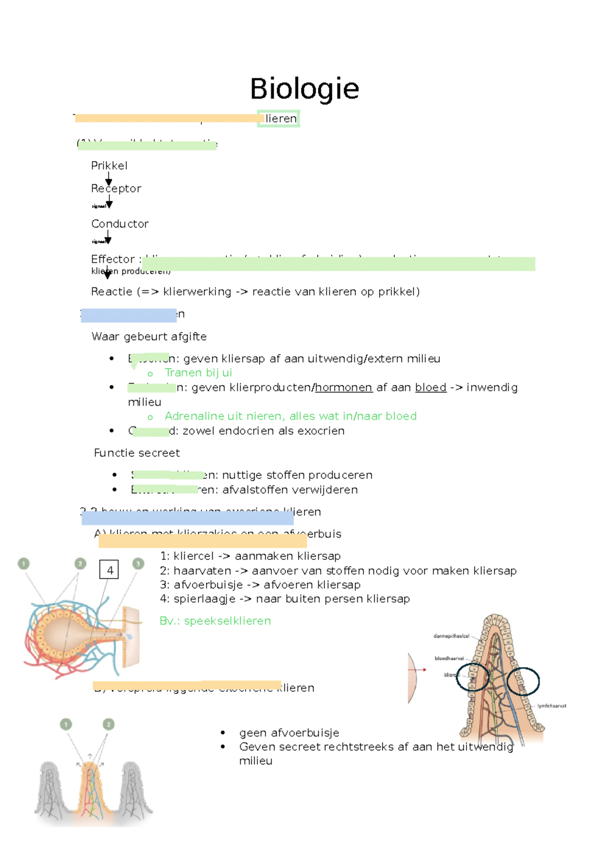 Biologiev (klieren - dflhfkze - Biologie Thema 3: effectoren: spieren ...