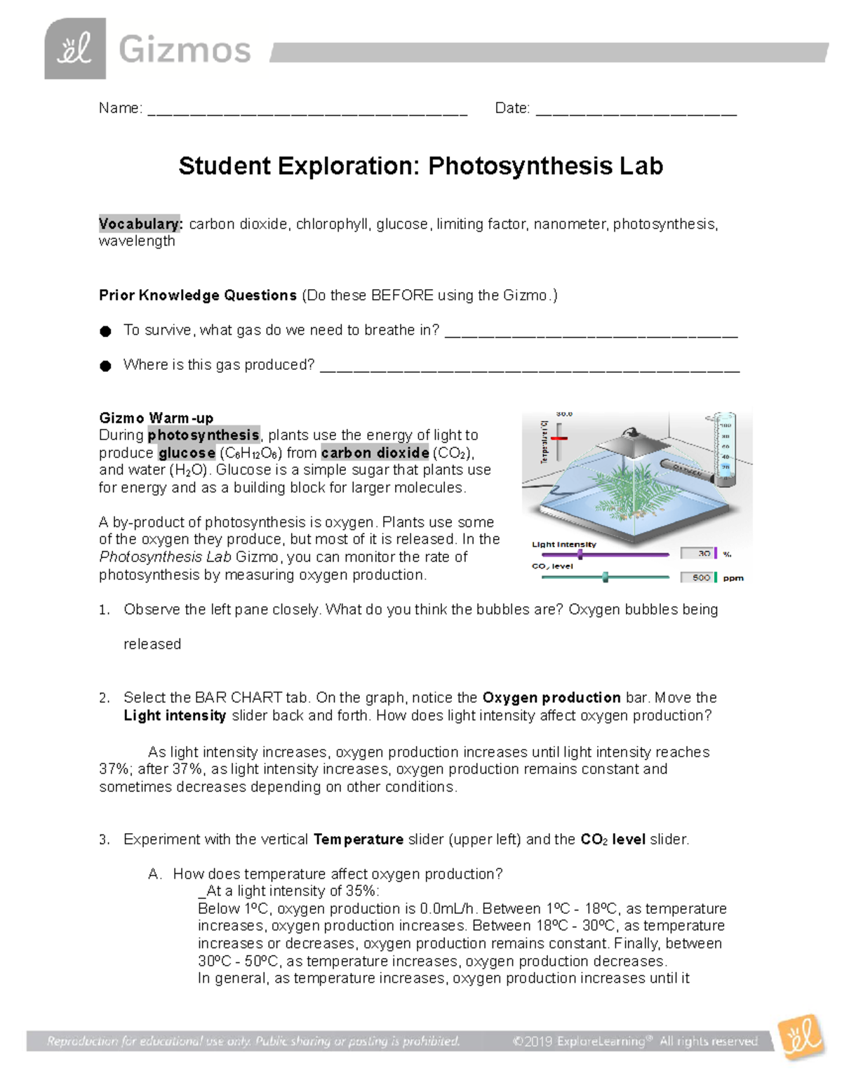 Photosynthesis Lab SE- IB BIOLOGY lab - Name ...
