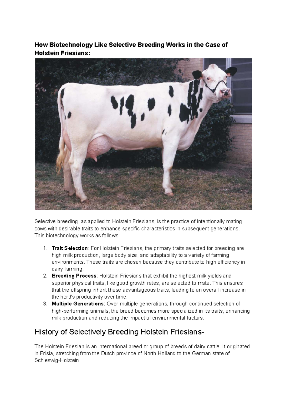 Biotechnology in Selective Breeding of Holstein Friesians: A Study ...